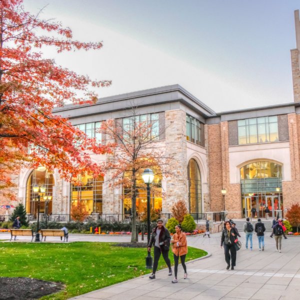 Study New York | Welcome To New York