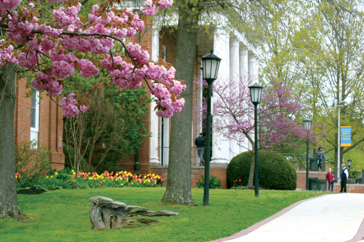 Long Island University | Study New York